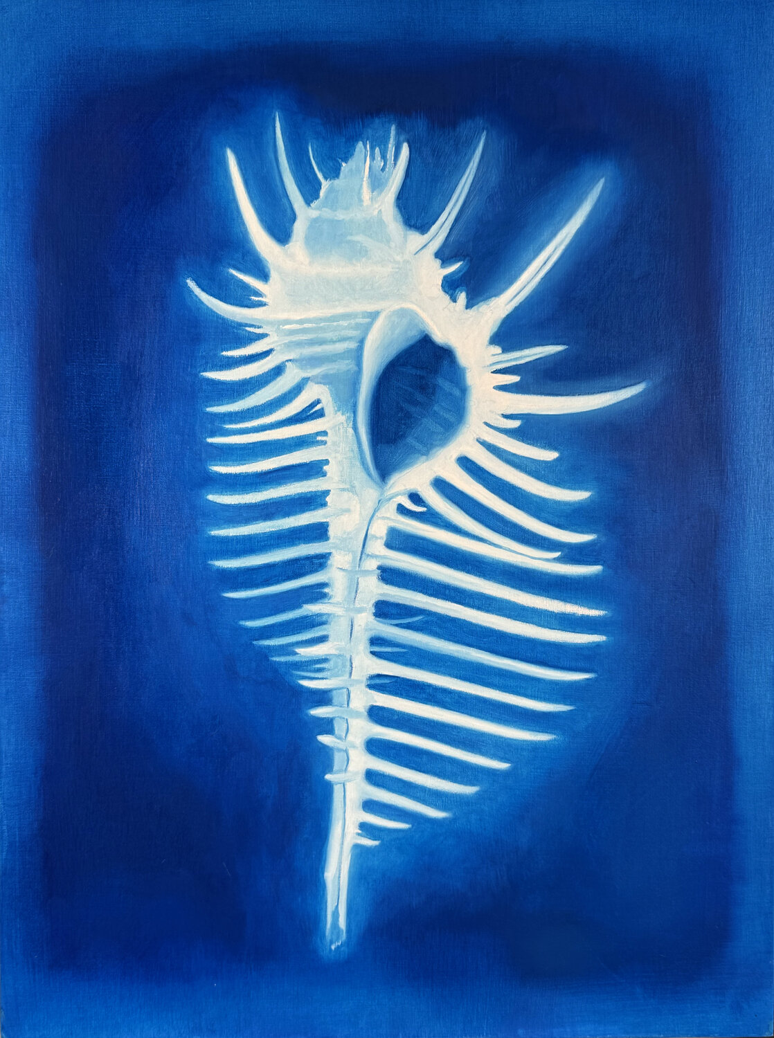 Venus Comb de Lance Hewison (2024): Pintura Óleo en Madera - Singulart