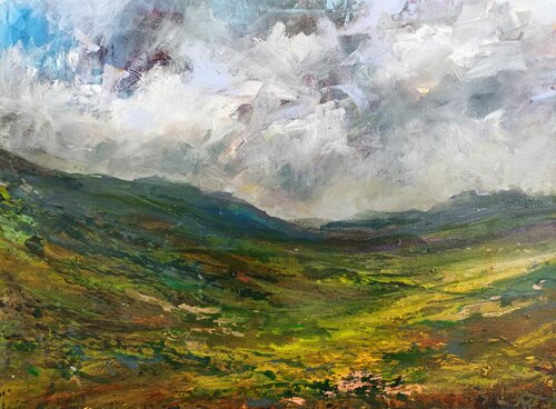 Wales, Cambrian mountains by Wim Van De Wege (2025) : Painting Acrylic ...