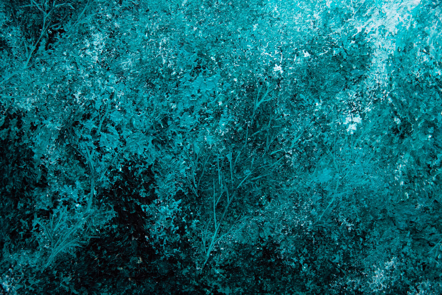 THOUGHTS - abstract nature, mind, subliminal, emerald green, soul ...