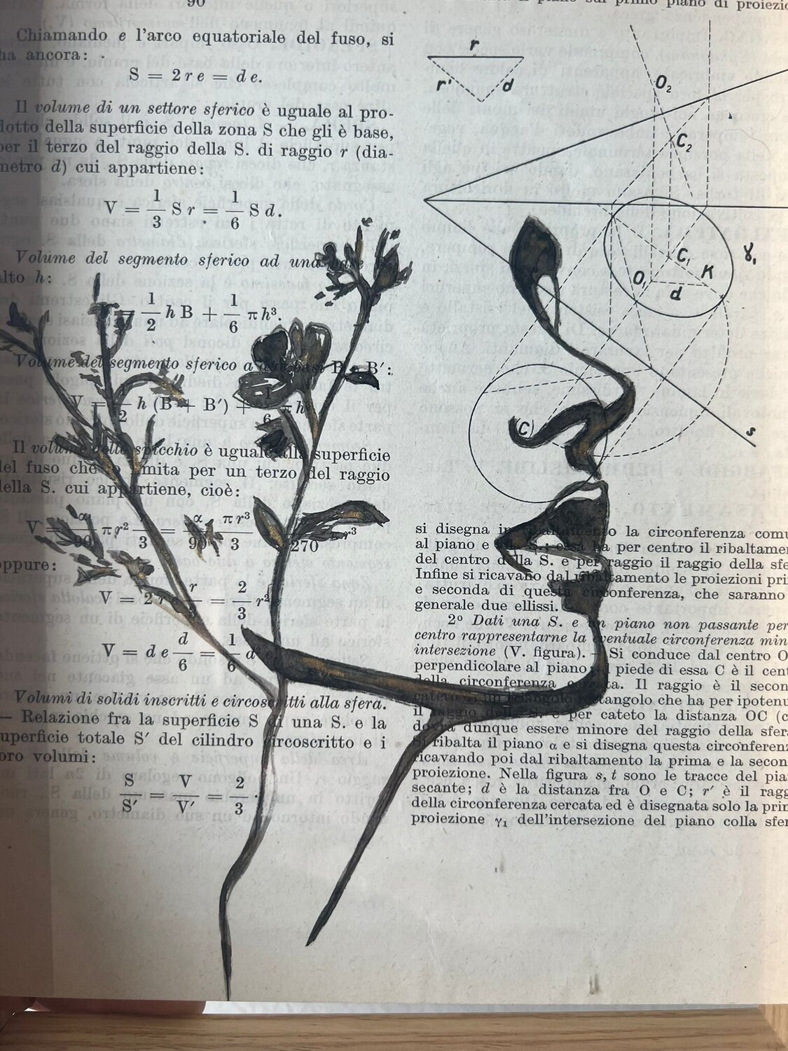 La formula del respiro by Elisa Bonotti (2025) : Painting India Ink ...