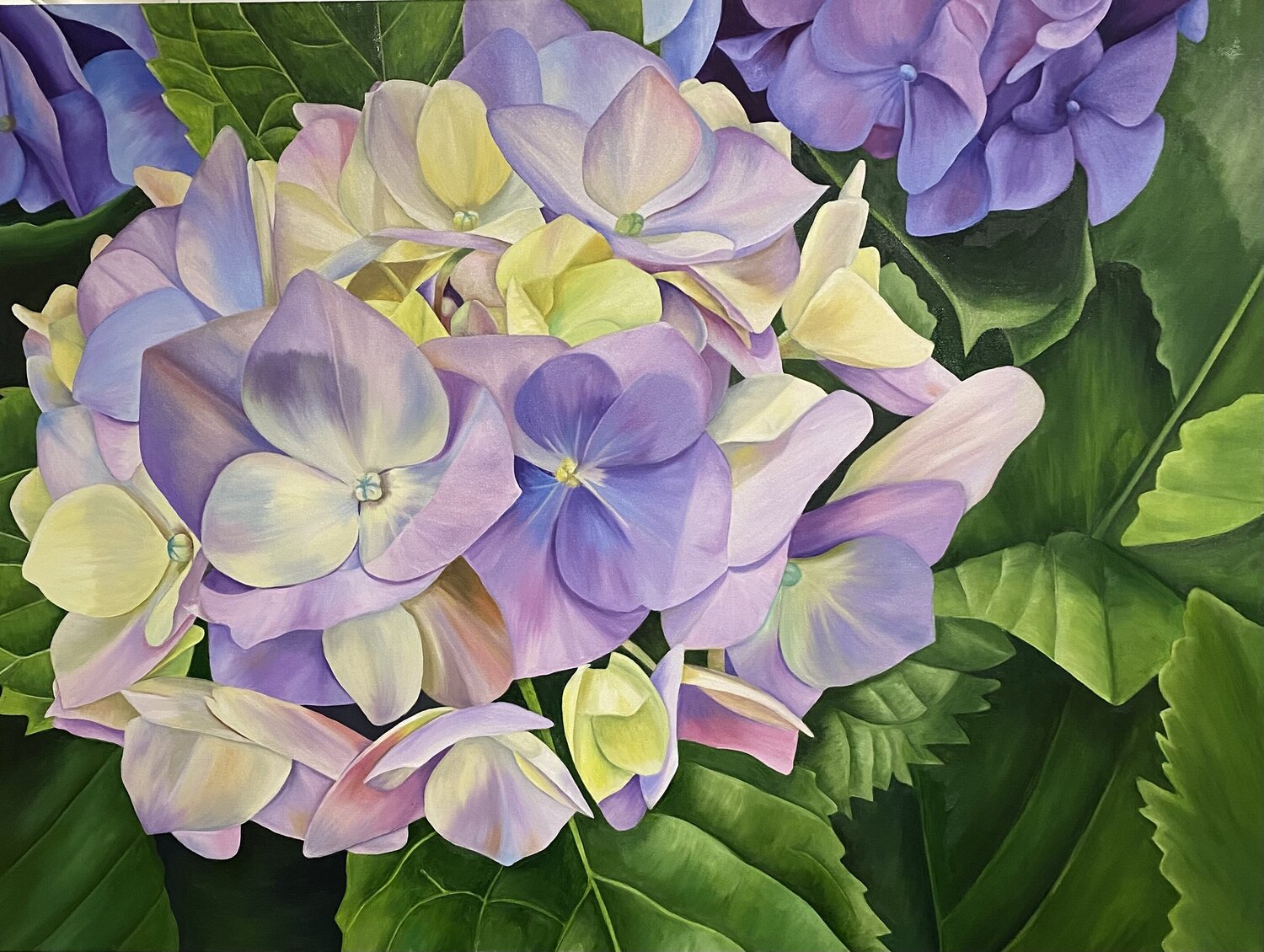 Hydrangea 2 by Linda McGowan (2023) : Painting Oil on Canvas - SINGULART