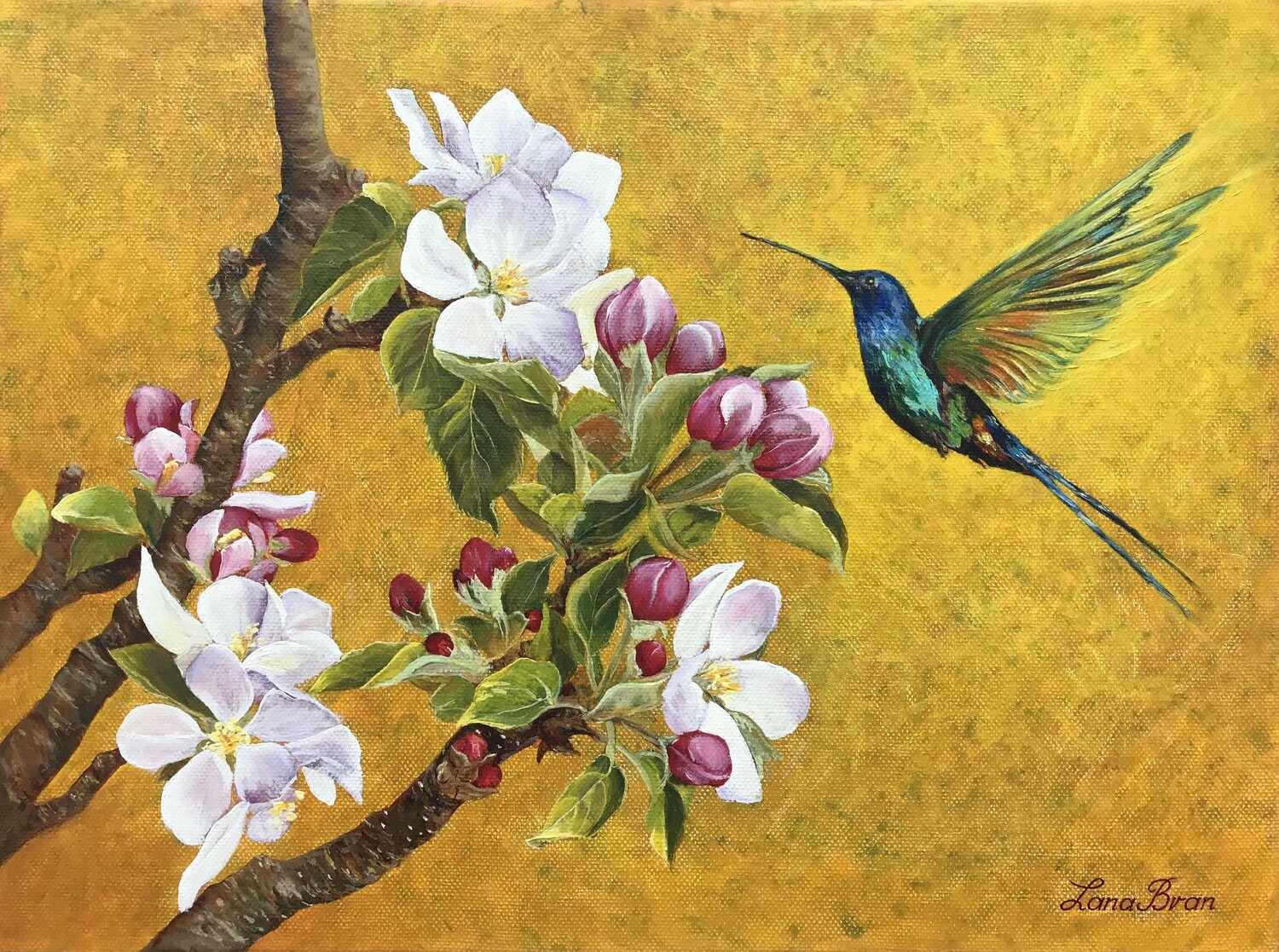 Hummingbird And Flower Paintings
