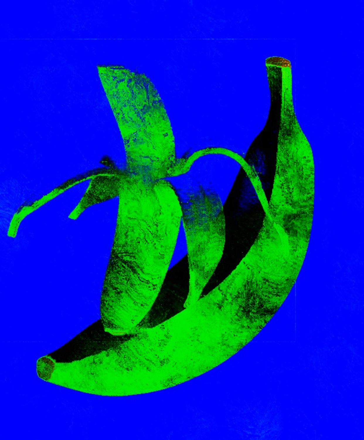 Banana Udo von Gelden