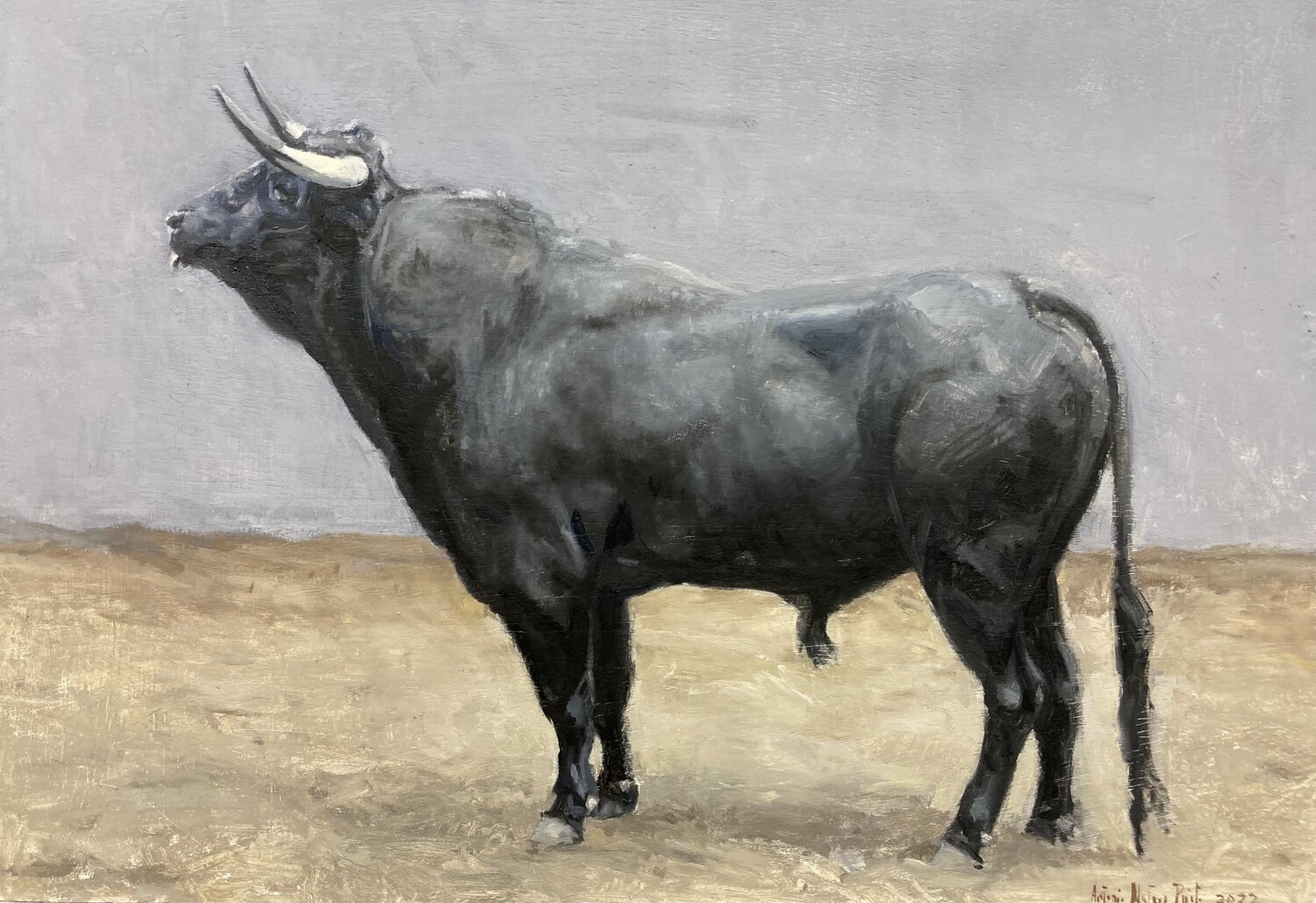 Taureau. Bull. Toro. (II) by Antonio Mateos Prieto (2022) : Painting ...