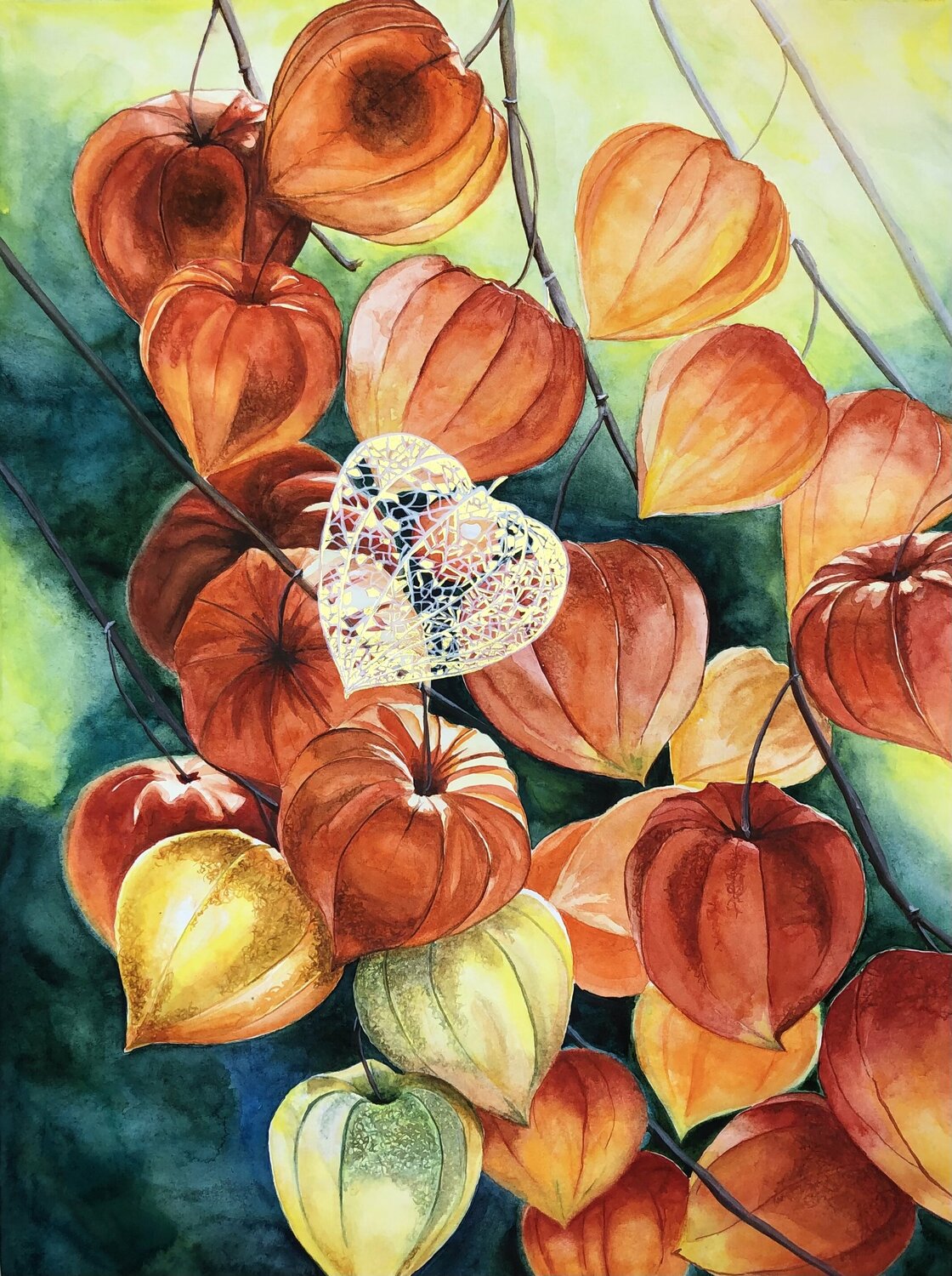 Chinese Lantern Flower Painting