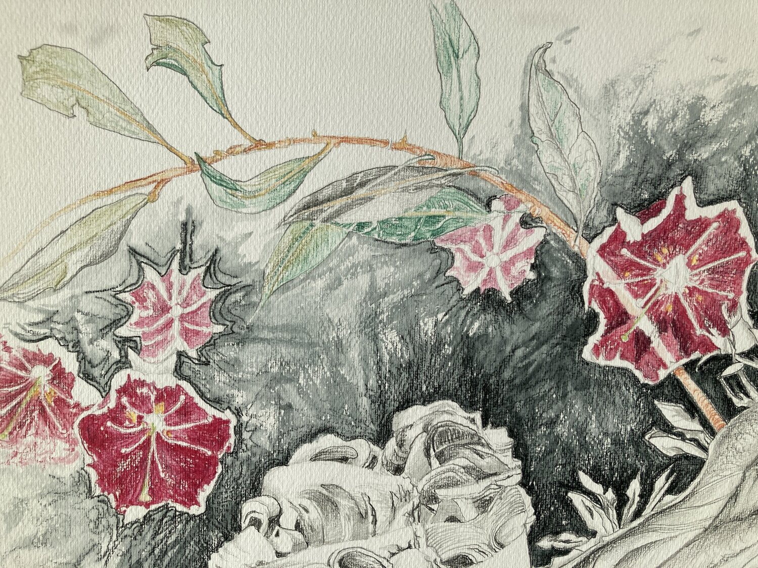 Hommage à Bernini - Apollo e Daphne di Karin Steffek-Moravia (2025 ...