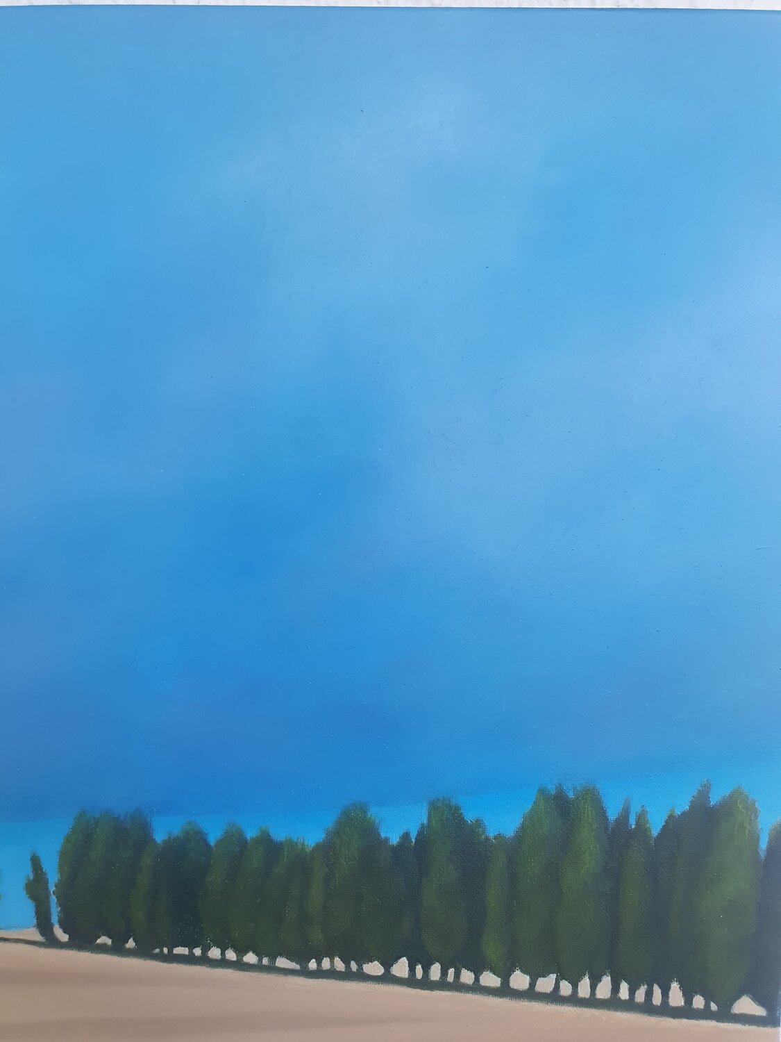 Campagna Toscana e i suoi alberi by Elisa Spagnoli (2023) : Painting ...