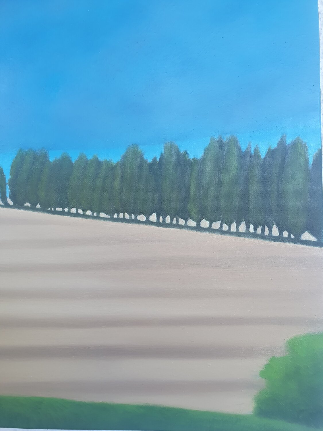 Campagna Toscana e i suoi alberi by Elisa Spagnoli (2023) : Painting ...