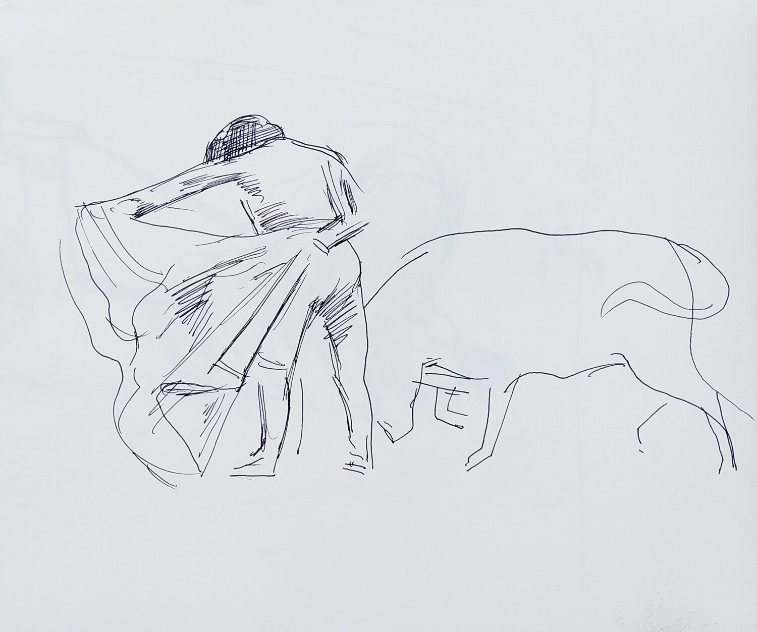 Matador Drawing