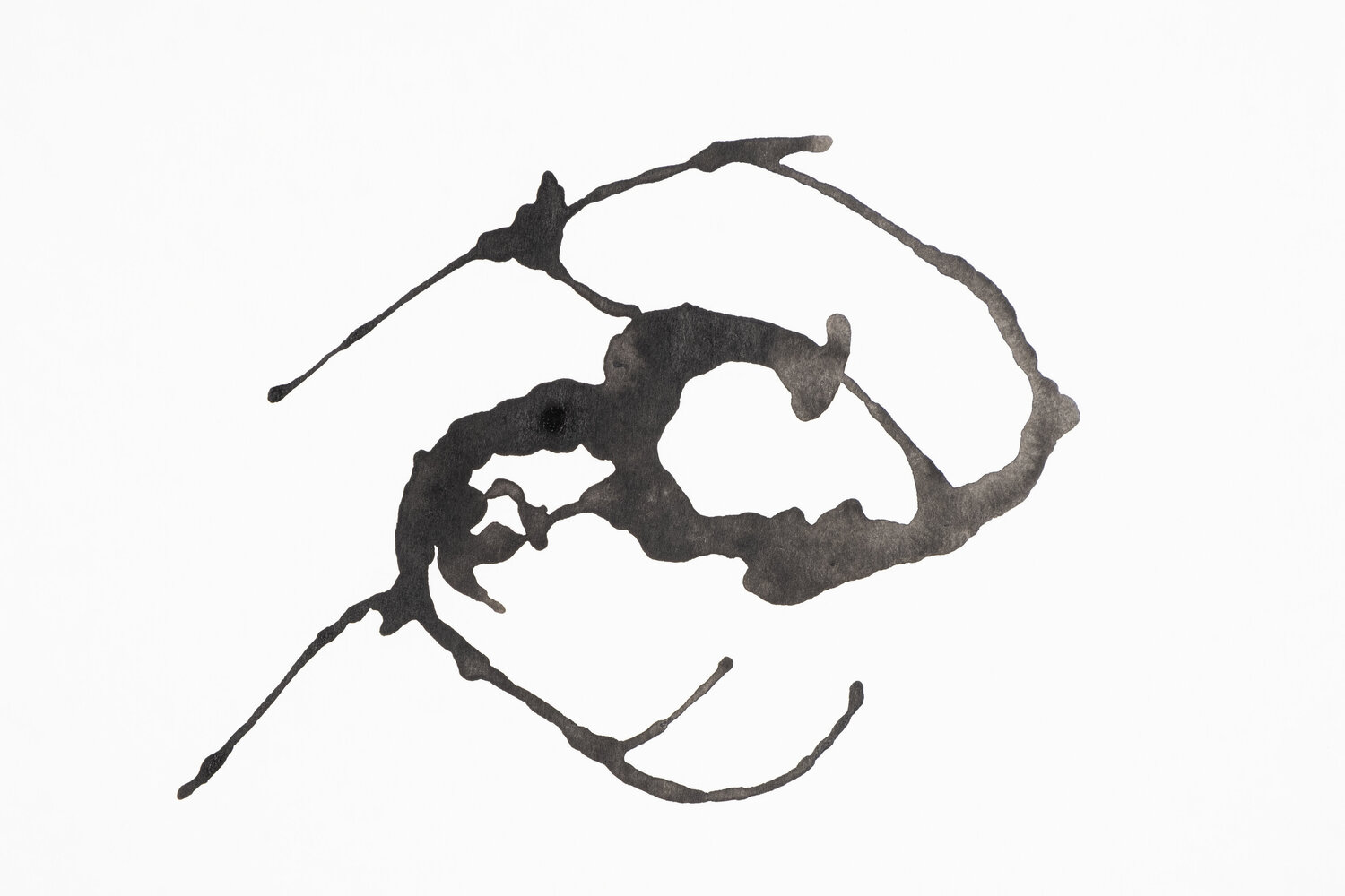 Inkblot 10 de Birk Manum Bjerkan (2023) : Œuvre sur papier Encre sur ...