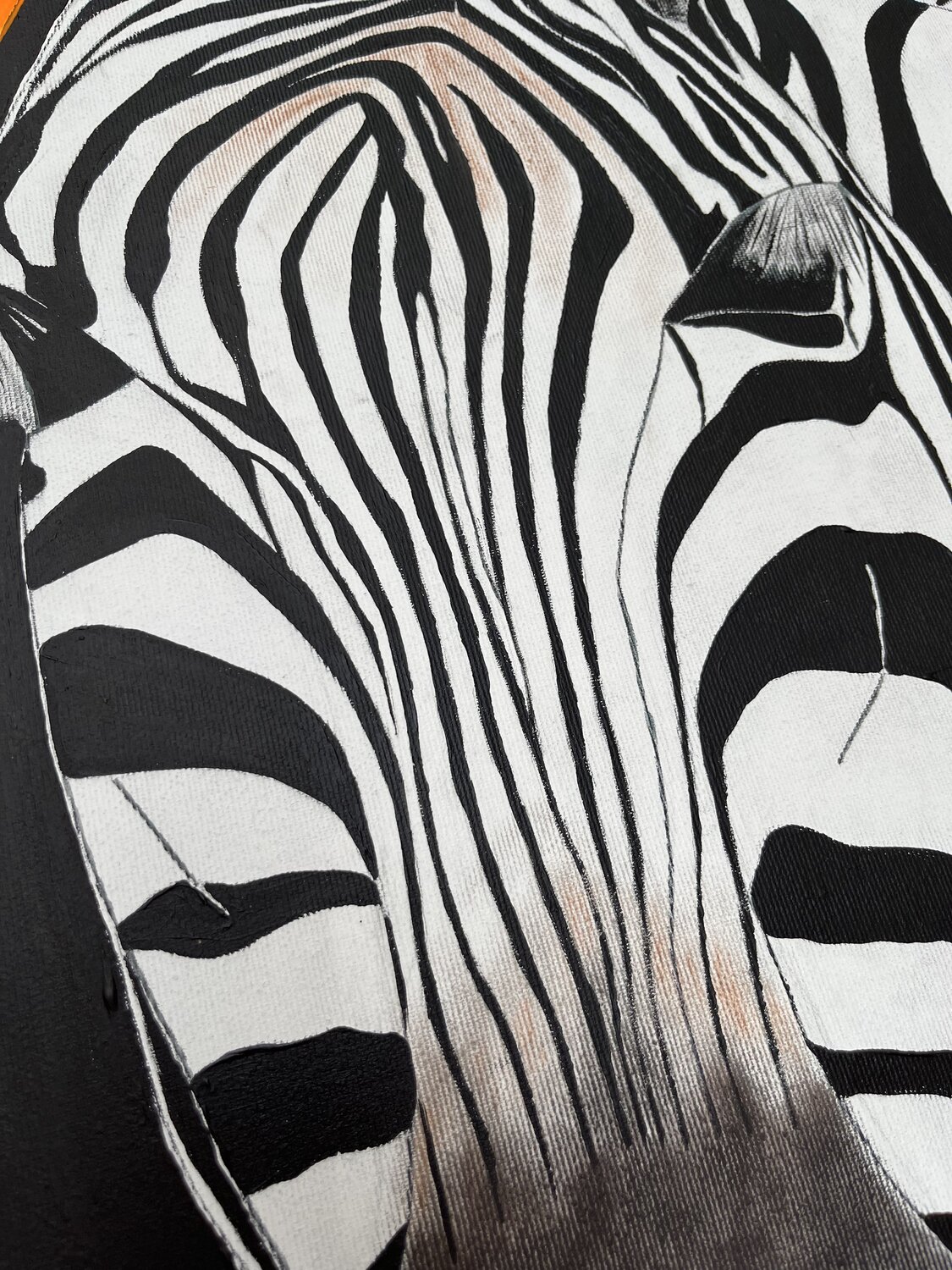 Constellation Orion. Supernova Betelgeuse. House of Jazz (MW-13) by ...