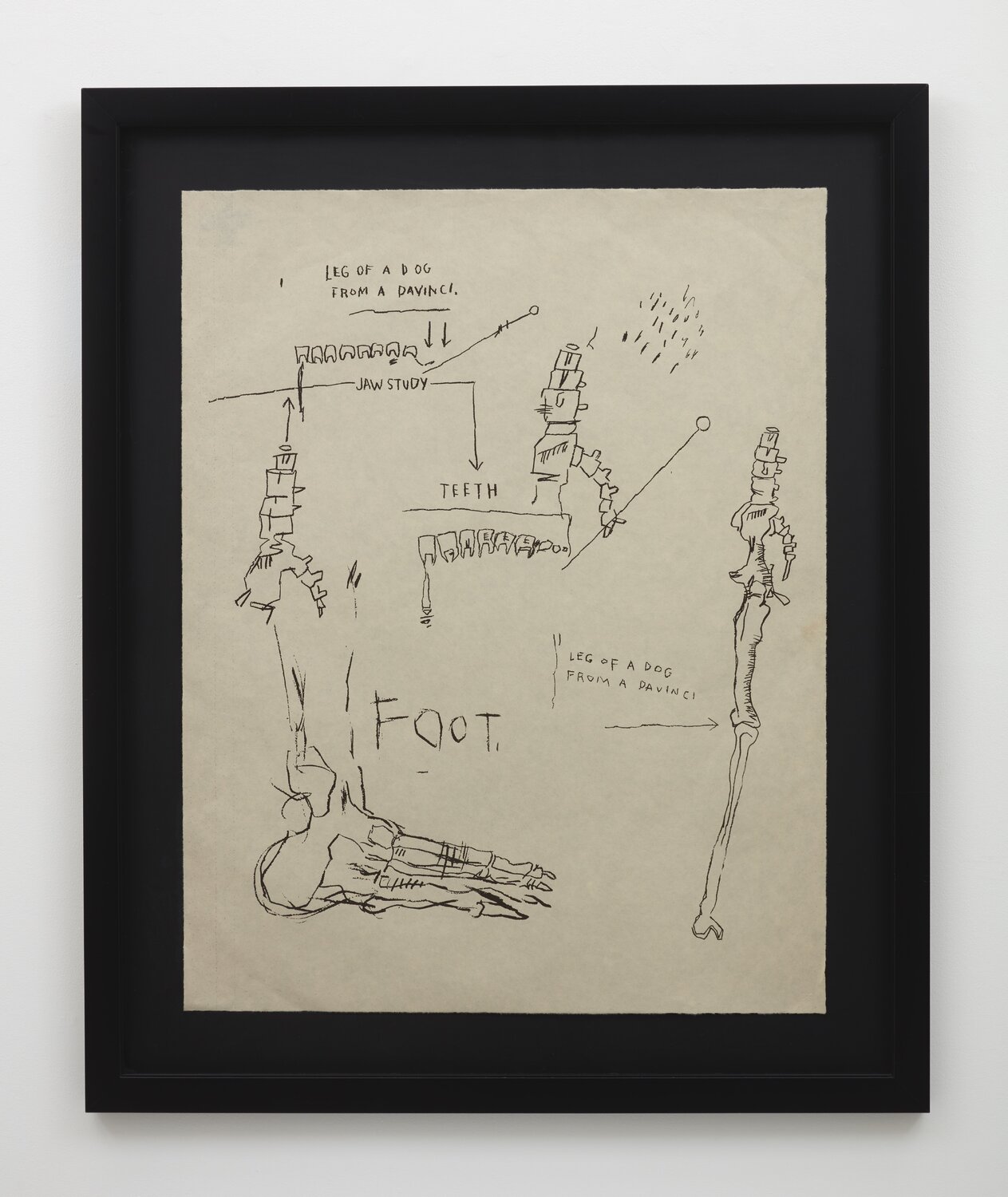 Leg of a Dog, from Da Vinci by Jean-Michel Basquiat (1983) : Print ...