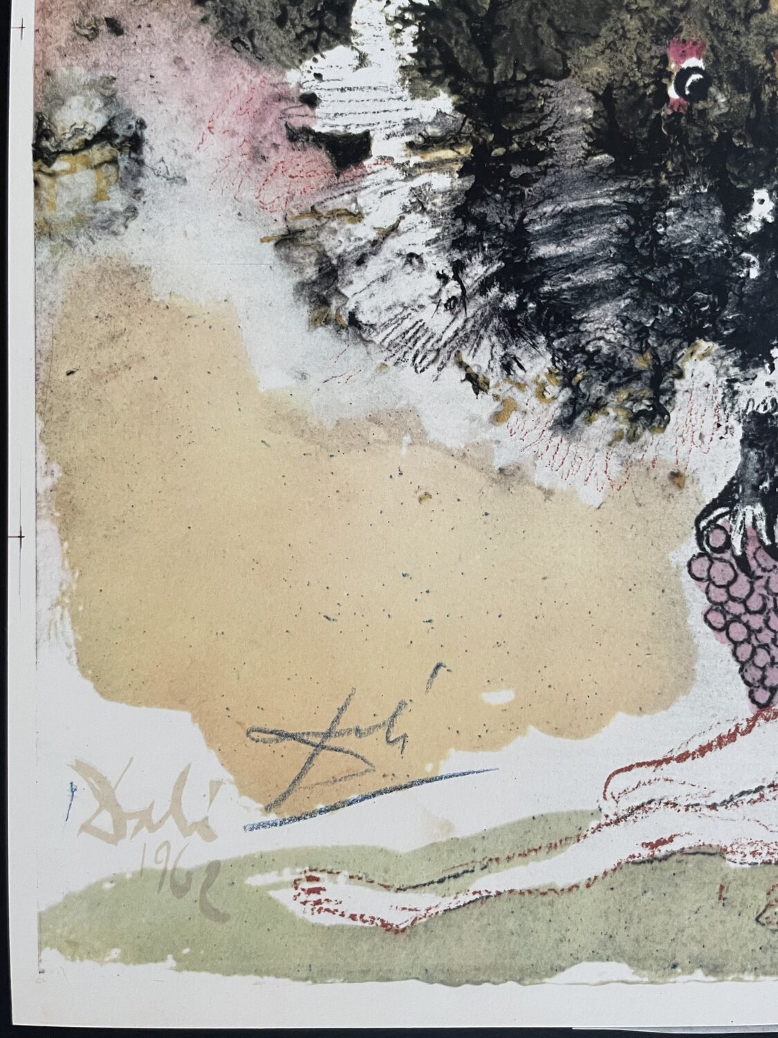 Bibla Sacra Noe qui primus plantavit vinea ( Noah who planted the first ...