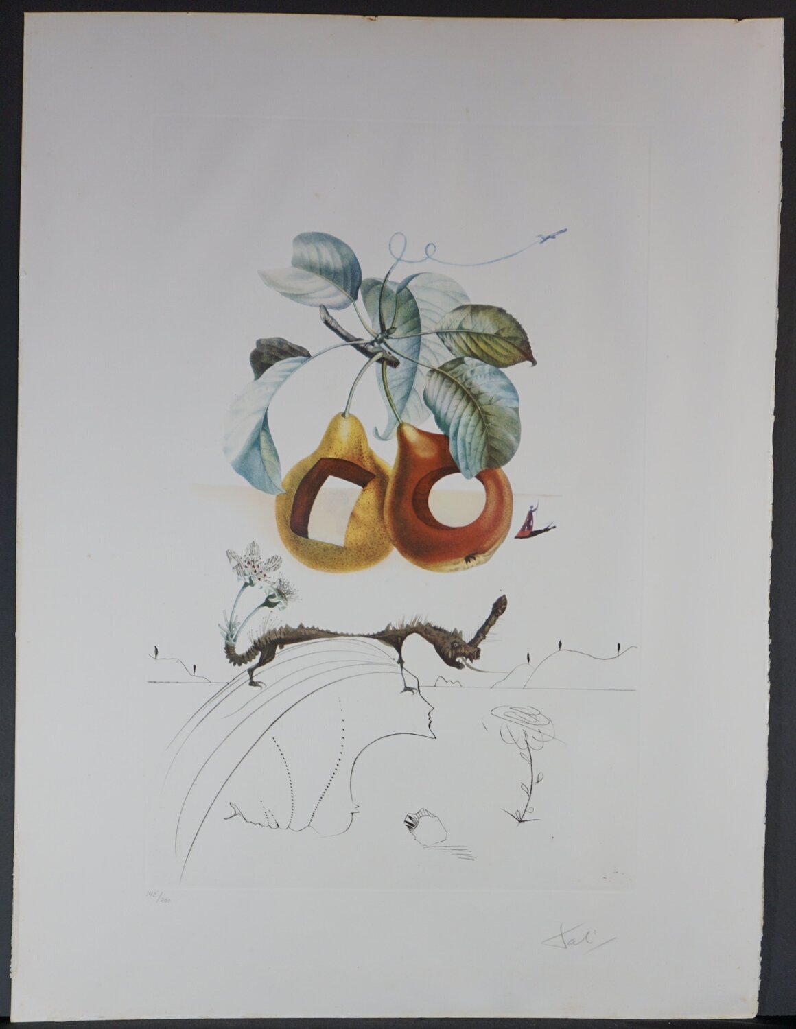 FlorDali/Les Fruits Fruit With Holes by Salvador Dalí (1969) : Print ...
