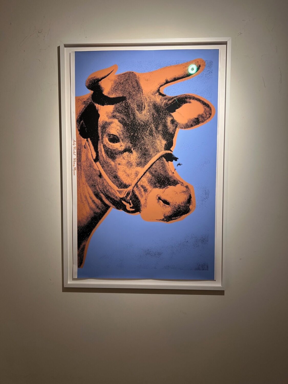 Cow by Andy Warhol (1971) : Print Screen Printing - Singulart