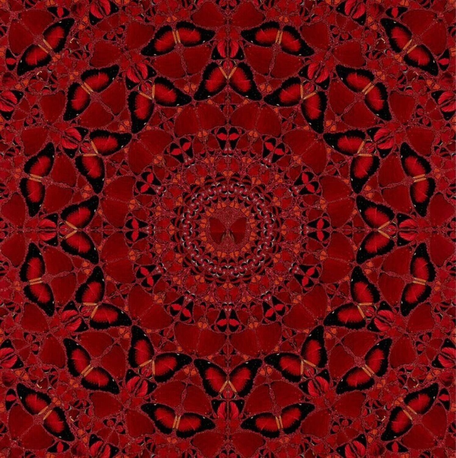 The Empresses H10-4 Suiko by Damien Hirst (2022) : Print Screen Printing - Singulart