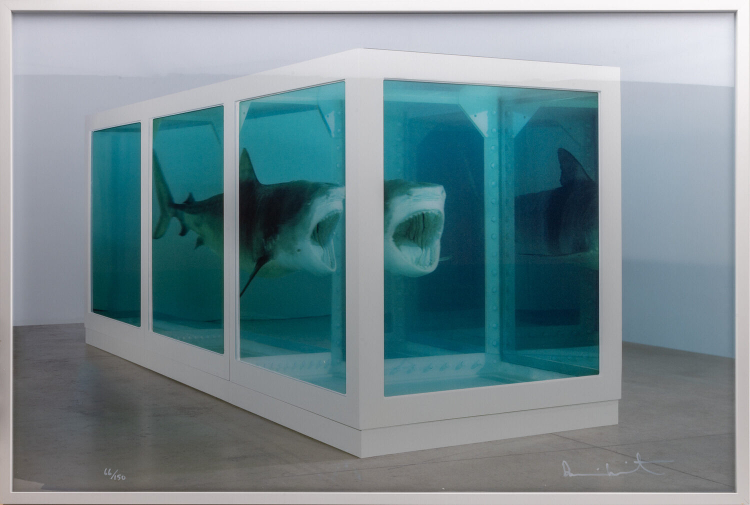 Damien Hirst Lenticular Shark Print The Physical Impossibility of Death ...