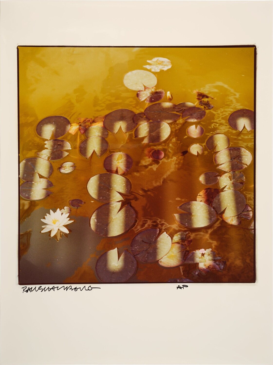 Blue Lady; Lily Pads; and Tea Pots, from Studies for Chinese Summerhall ...