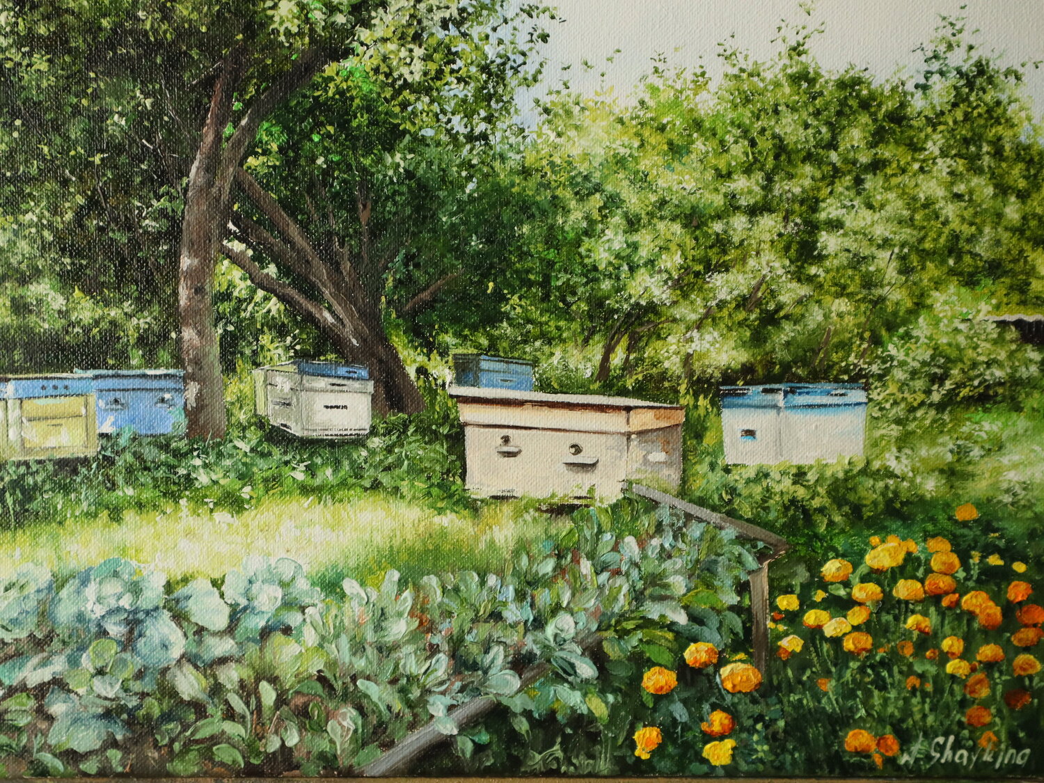 Backyard Bee Hives ,Ukrainian Countryside View Garden Scene von ...