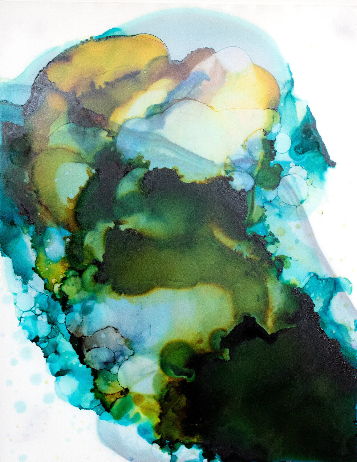 JUNIPER von Nicole Melnicky (2023): Malerei Tinte auf Papier - Singulart