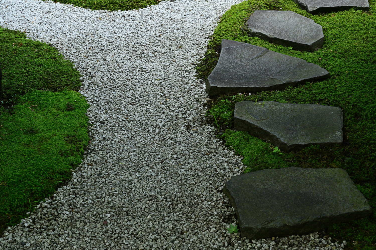 Plowing the Soul (open edition print) by Anatoliy Anshin (2024 ...