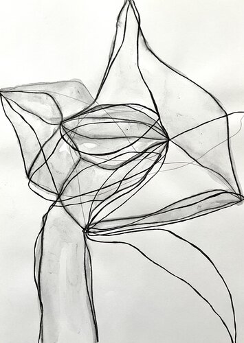 Ovid I-B by Oliver Euler (2004) : Drawing Pencil, India Ink on Paper ...