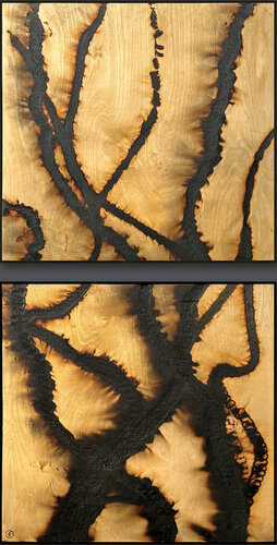 Burnt Panel Diptych No. 103 by Jonah Ward (2024) : Other Media Organic ...