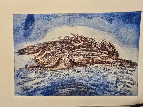 Squirrel in der Abendsonne by Andrea Philipp-Zankl (2025) : Print ...