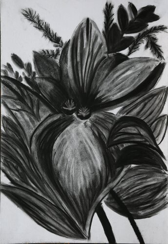 Il bosco by Romina Petrini (2019) : Drawing Charcoal on Paper - Singulart