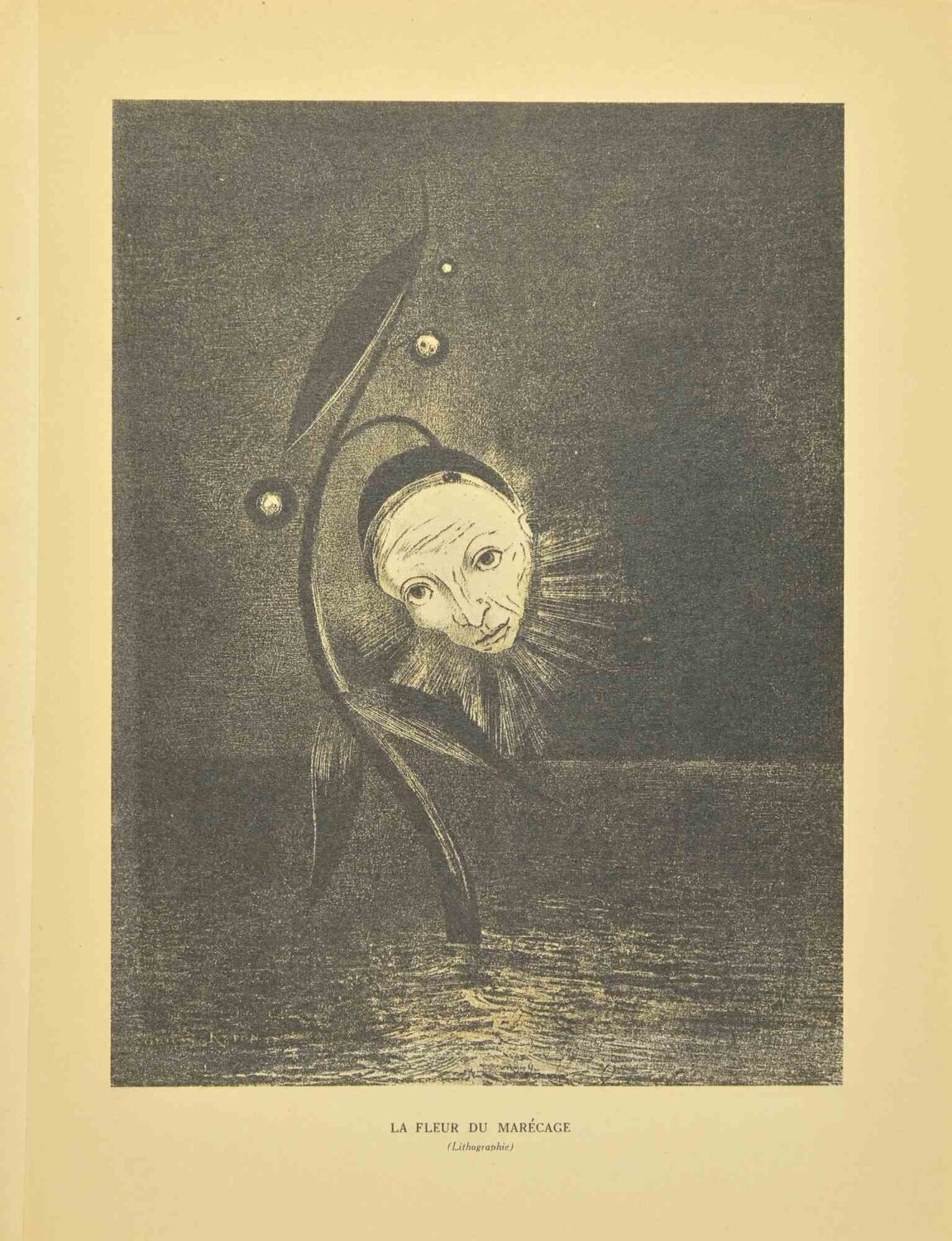 Le Fleur Du Marécage de Odilon Redon (N.D): Impresión Litografía ...