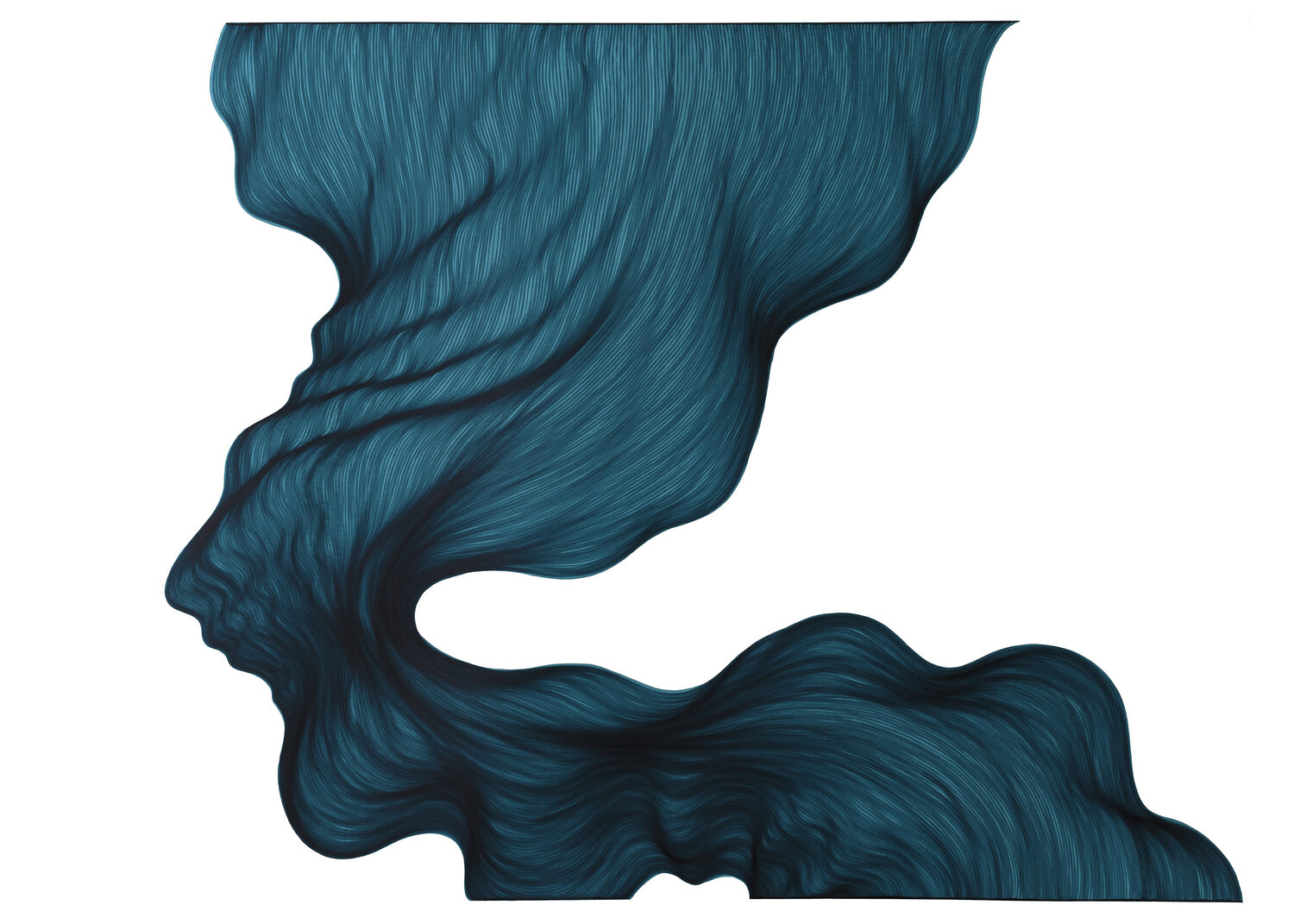 When the Shark Turned Left by Lali Torma (2022) : Drawing India Ink on ...