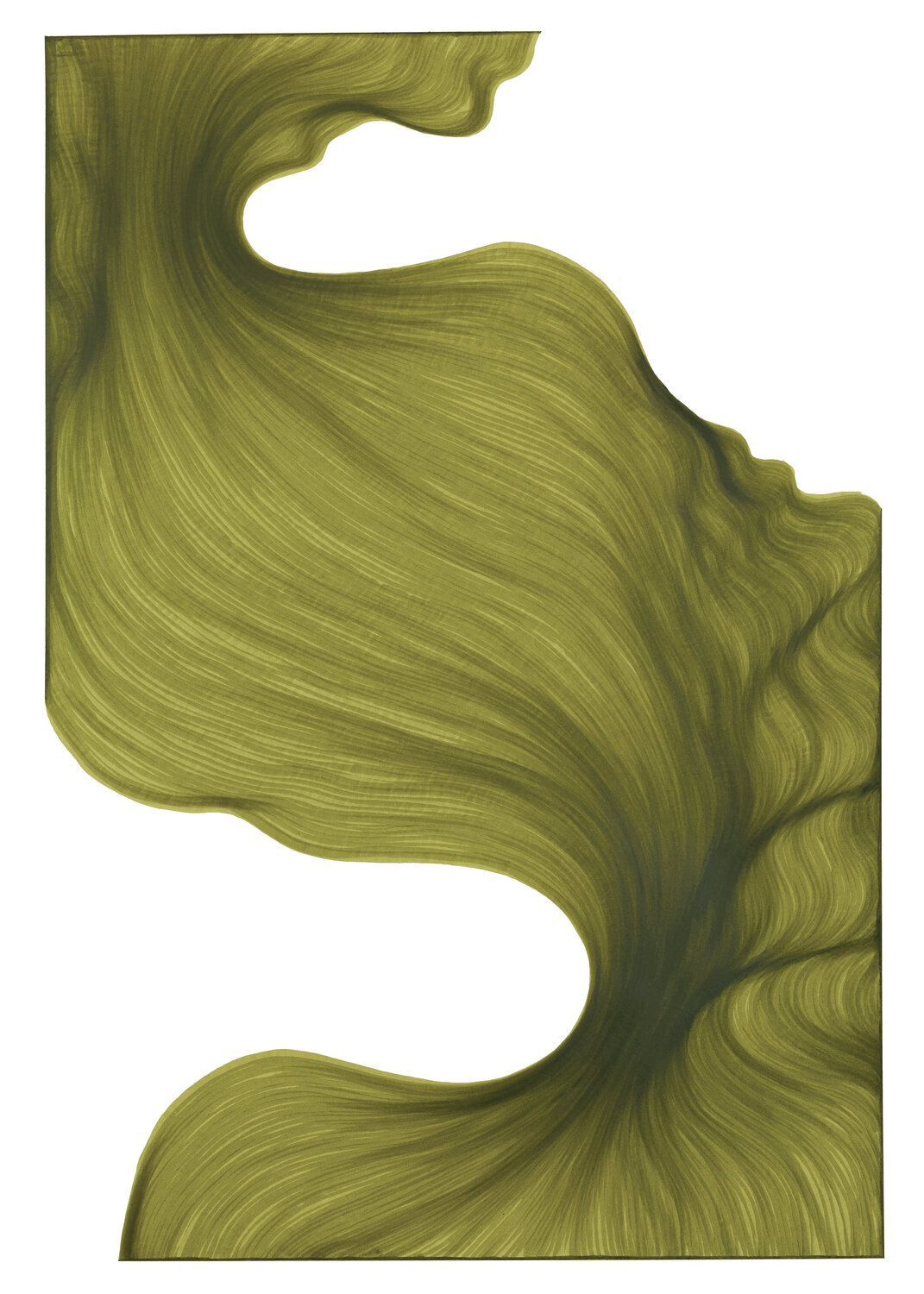 Olive Peel by Lali Torma (2024) : Drawing India Ink on Paper - Singulart