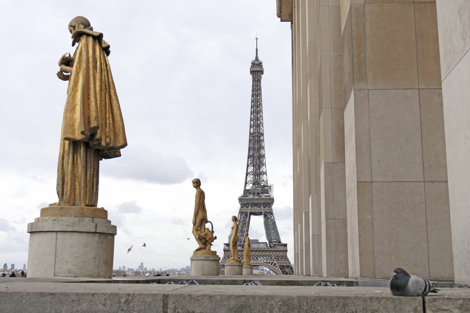 The Eiffel Tower and the pigeon by Grégory Herpe (2023) : Photography ...