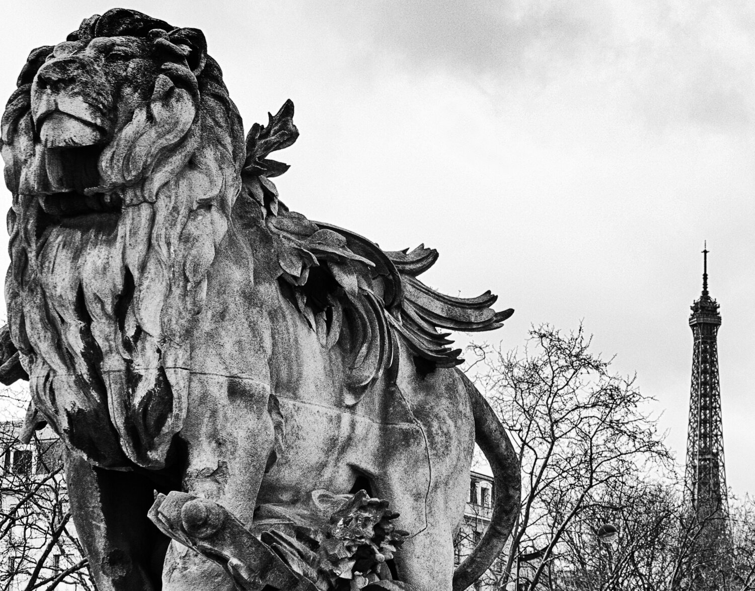 The Lion & the Beliger de Grégory Herpe (2023) : Photographie Digital ...