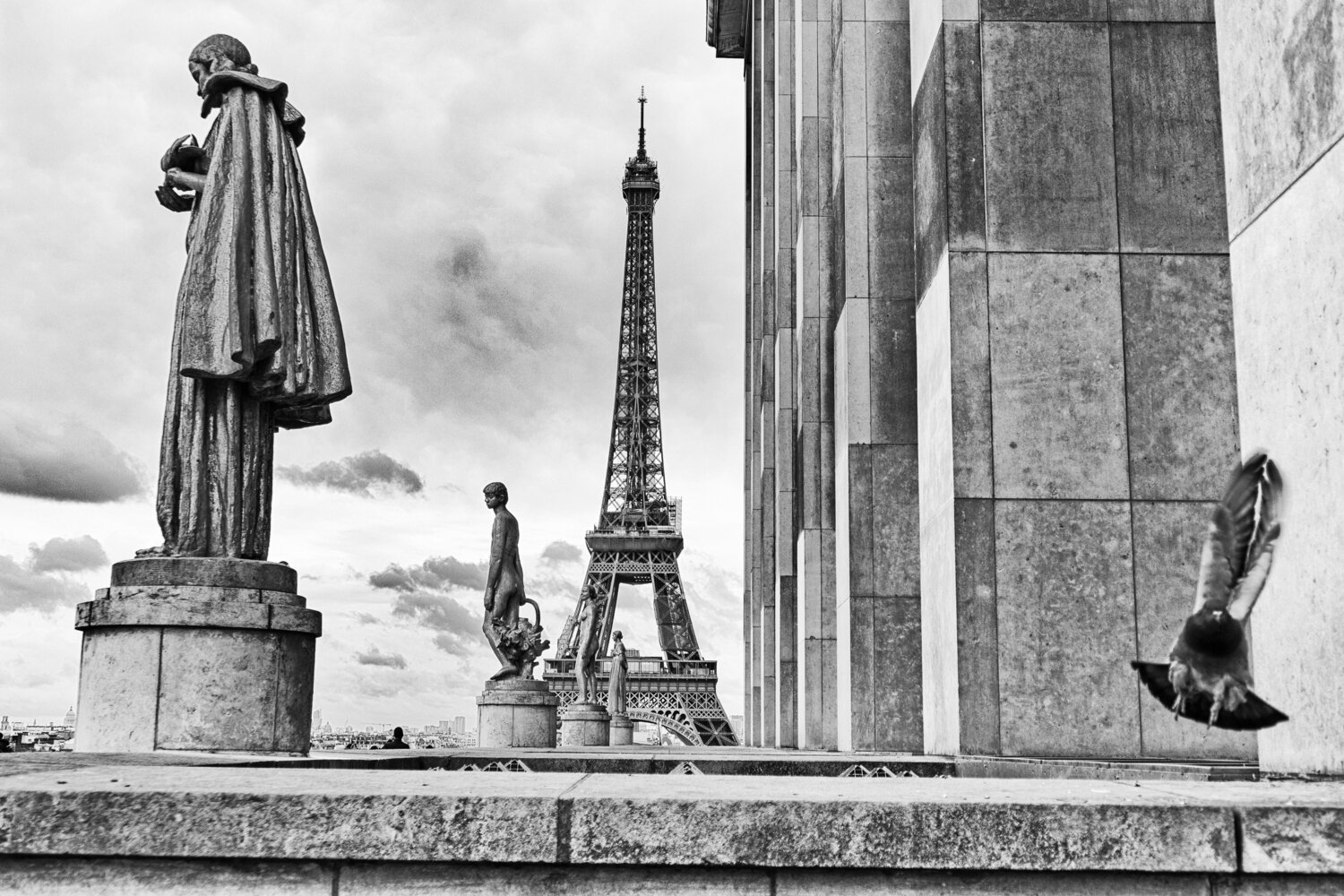 The Eiffel Tower and the pigeon by Grégory Herpe (2023) : Photography ...
