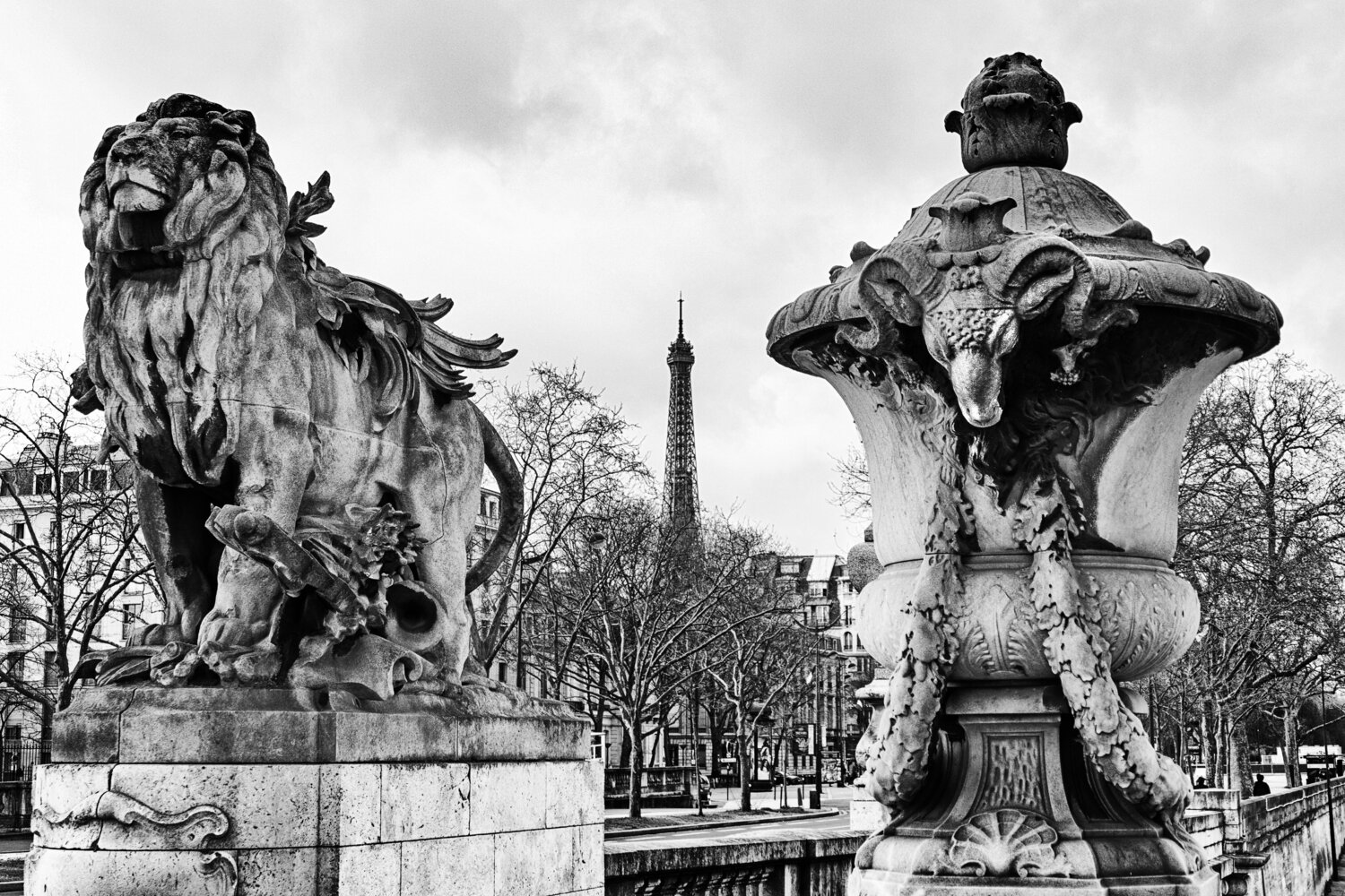 The Lion & the Beliger de Grégory Herpe (2023) : Photographie Digital ...