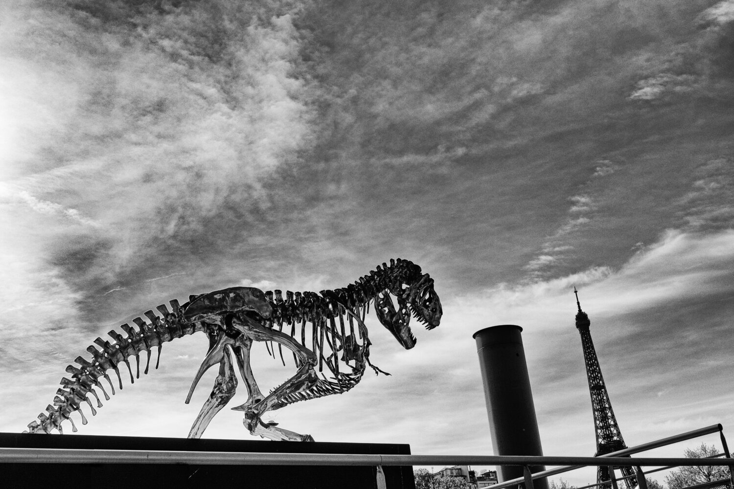 T-Rex in Paris de Grégory Herpe (2025) : Photographie Digital sur ...