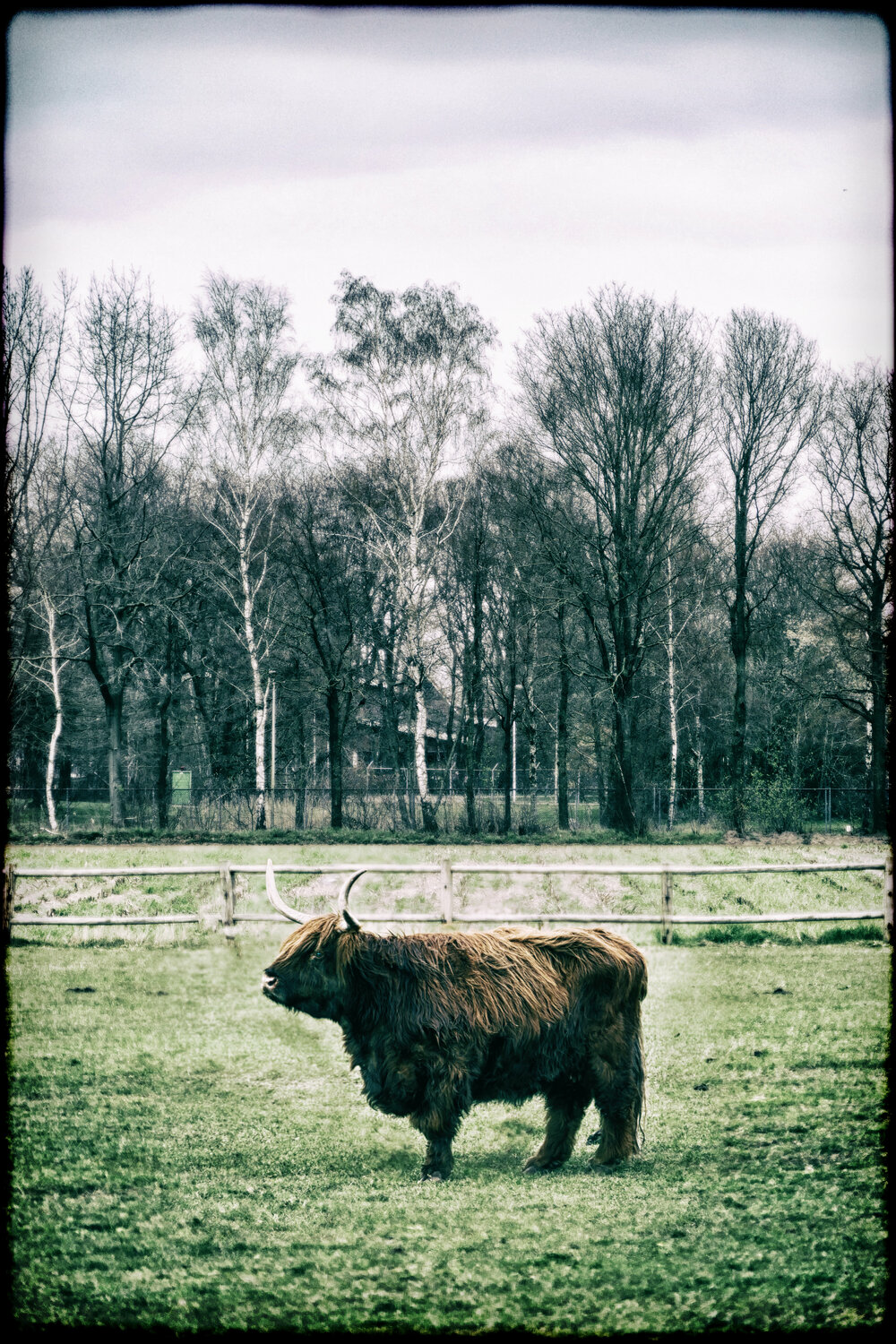 Connor MacLeod of the McLeod clan by Grégory Herpe (2020) : Photography ...