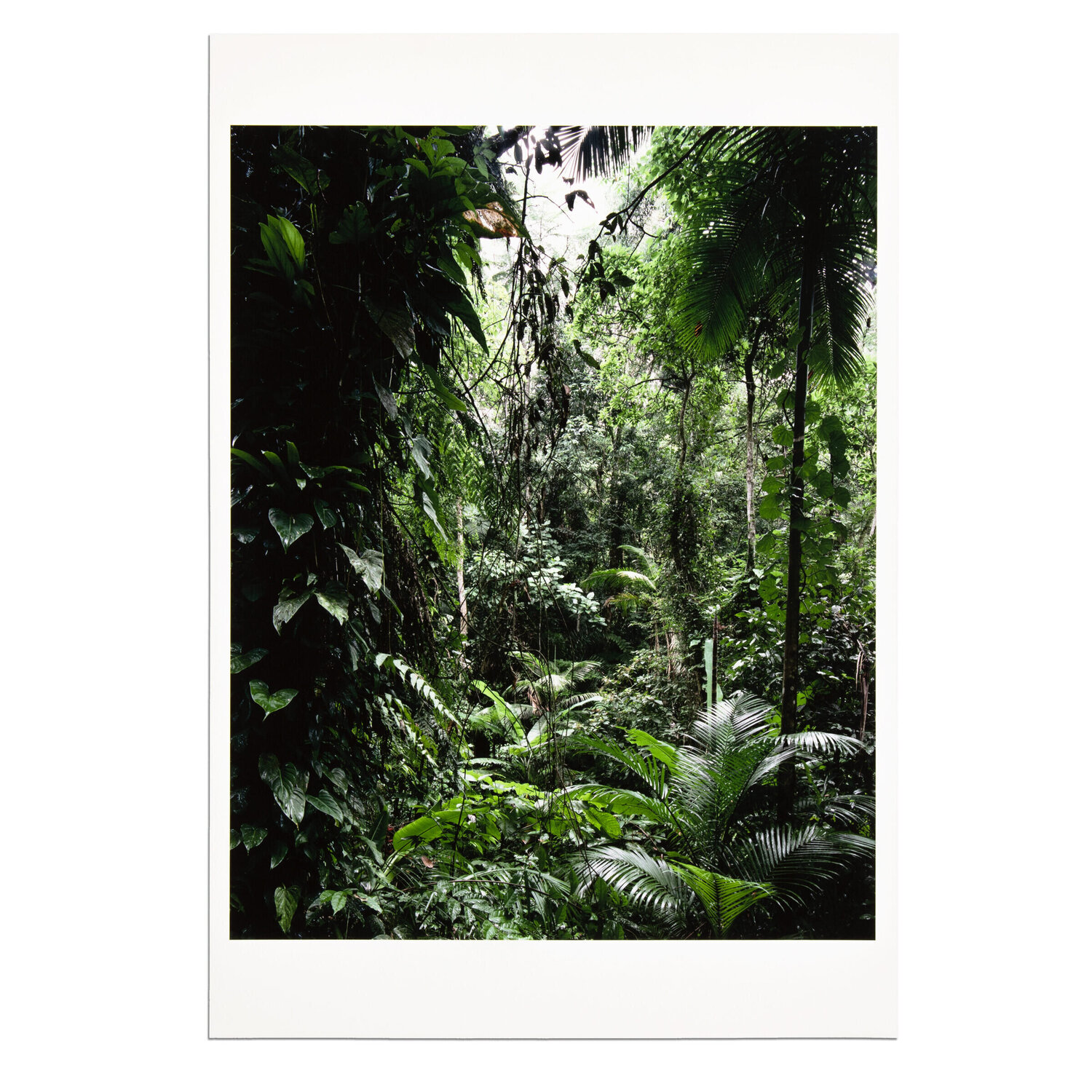 Sao Francisco de Xavier by Thomas Struth (2004) : Photography Hybrid ...