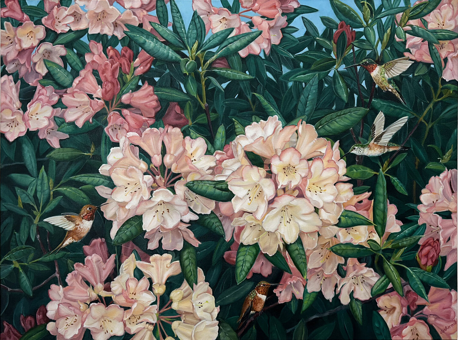 Riotous Rhododendron by Catherine Kirkwood (N.D) : Painting Oil on ...