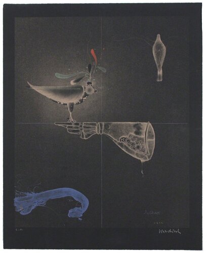Falkenhandschuh / Falconer's Glove by Paul Wunderlich (1981) : Print ...