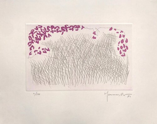 Iris blau 7 de Joan Hernández Pijuan (1994) : Impression Gravure sur ...