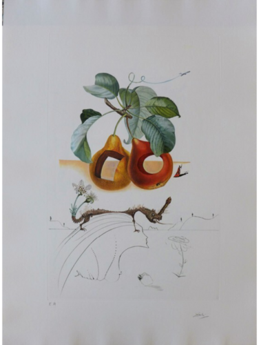Flordali - Les Fruits : Fruits troués by Salvador Dalí (1969) : Print ...