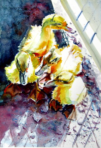 Gosling by Anna Brigitta Kovacs (2020) : Painting Watercolor on Paper ...