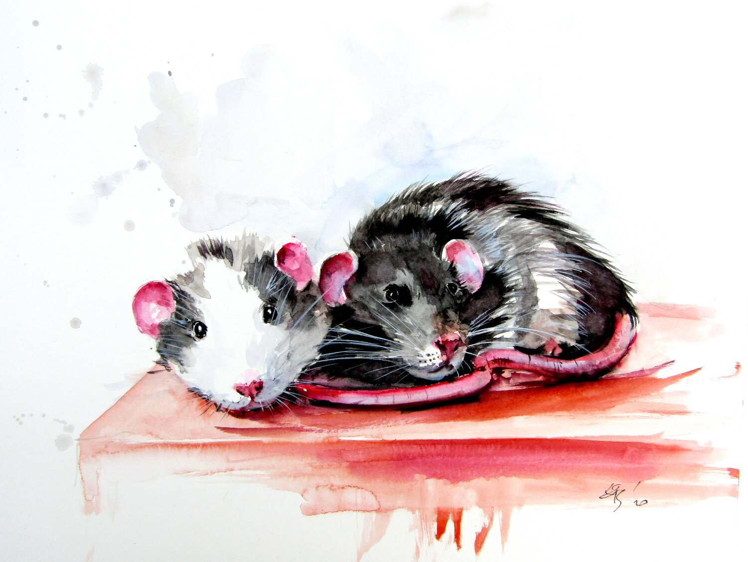 Rats de Anna Brigitta Kovacs (2020) : Peinture Aquarelle sur Papier ...