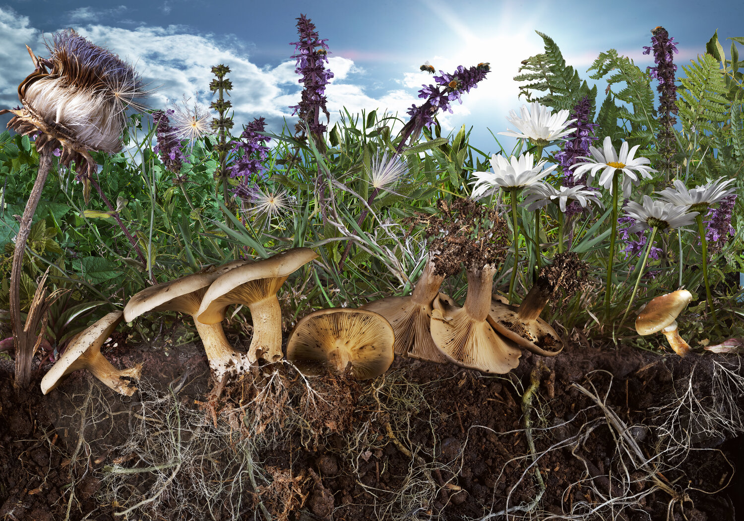 Ever giving Earth by Christine Simpson (2024) : Other Media Collage ...