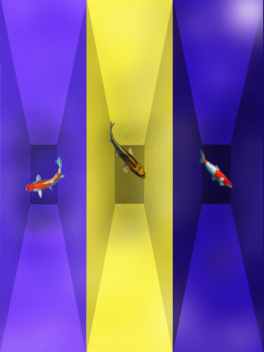 Alignment by Simon Bolton (2024) : Photography Digital on Paper - Singulart