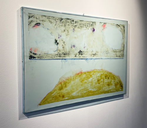 Watherlillies de Mario Schifano (1988) : Édition Sérigraphie - Singulart