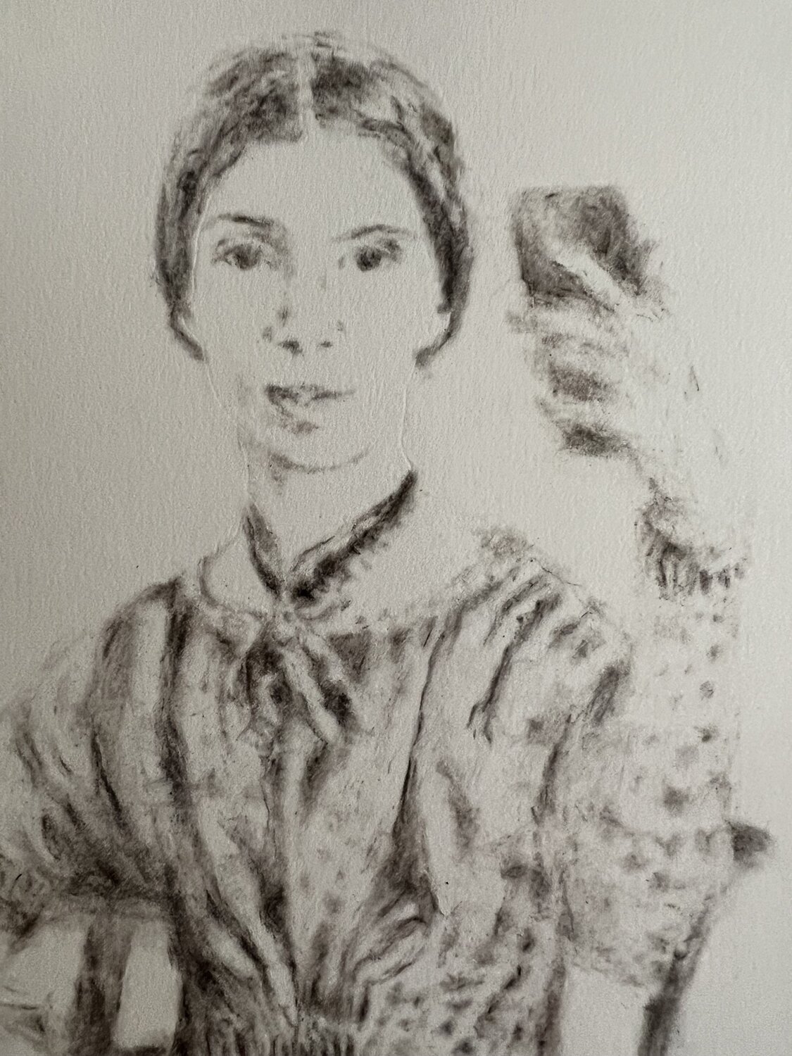 Success is Counted Sweetest, Emily Dickinson takes a selfie by Sally K ...