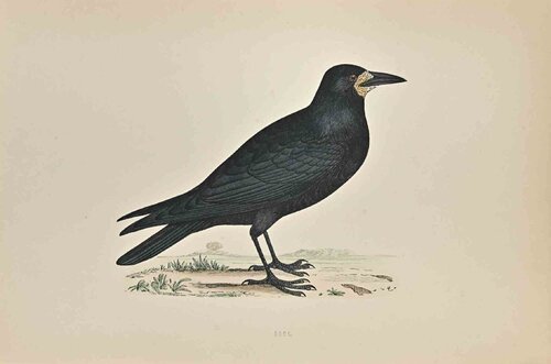 Rook de Alexander Lydon (1870): Impresión Grabado - Singulart
